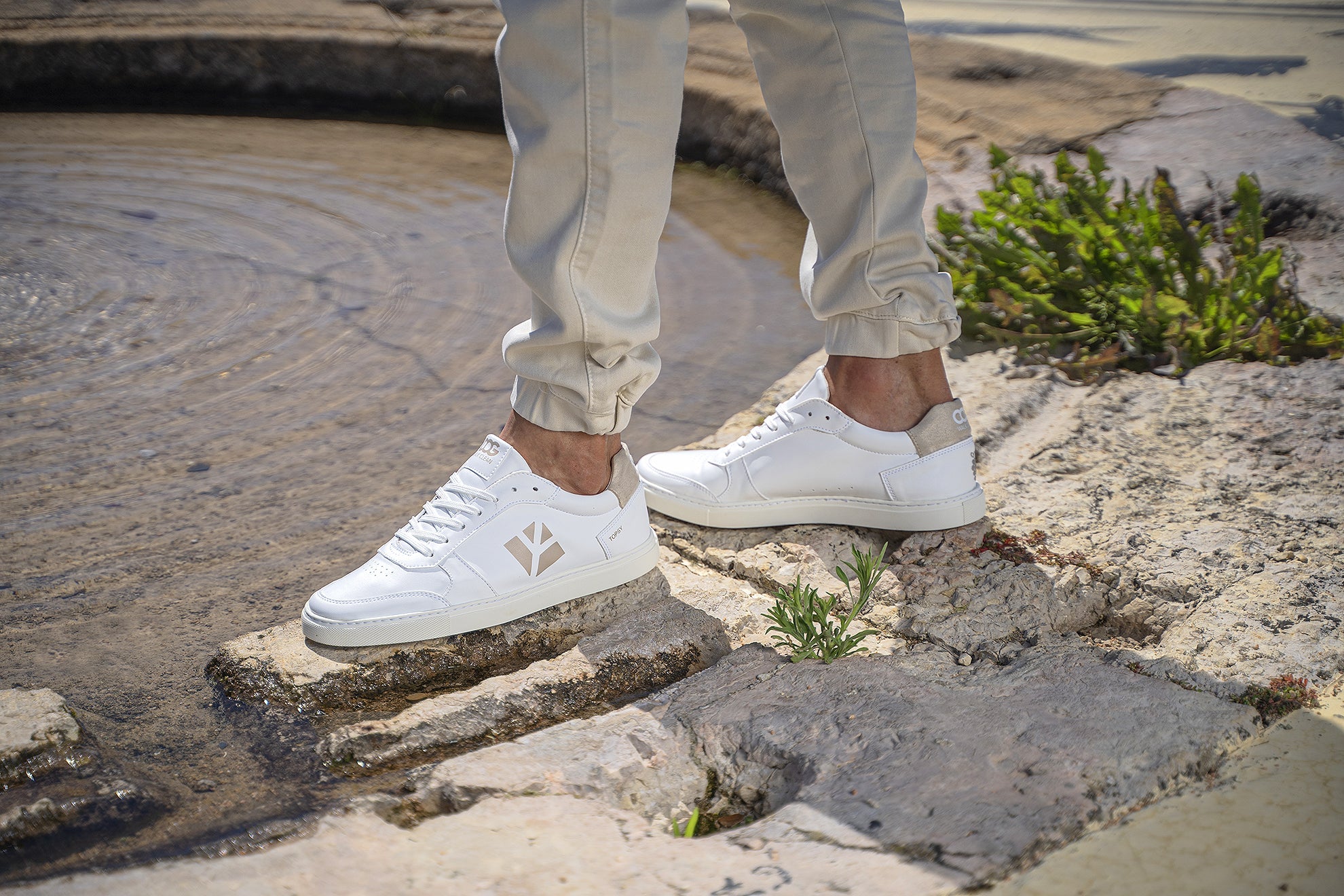 Behind the Brand: COG Sneakers - Immaculate Vegan