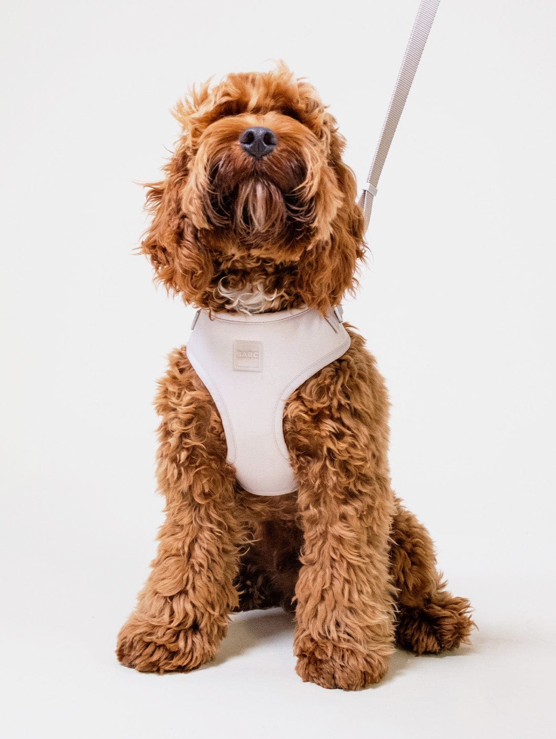 Easy Fit Nylon Fabric Cushioned Dog Harness | Vanilla Cream ...